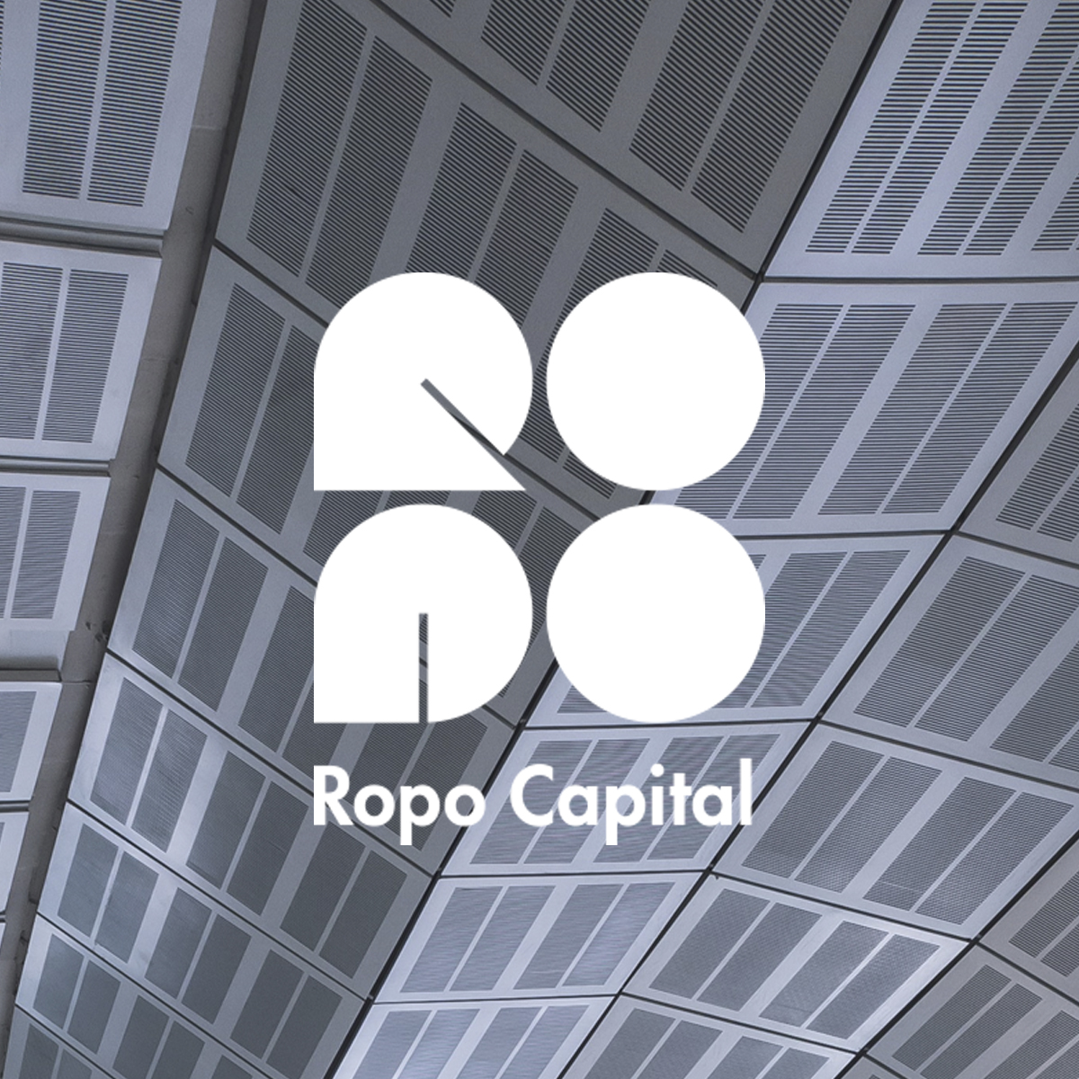 Collection Advisor-Timanställning - Ropo SE